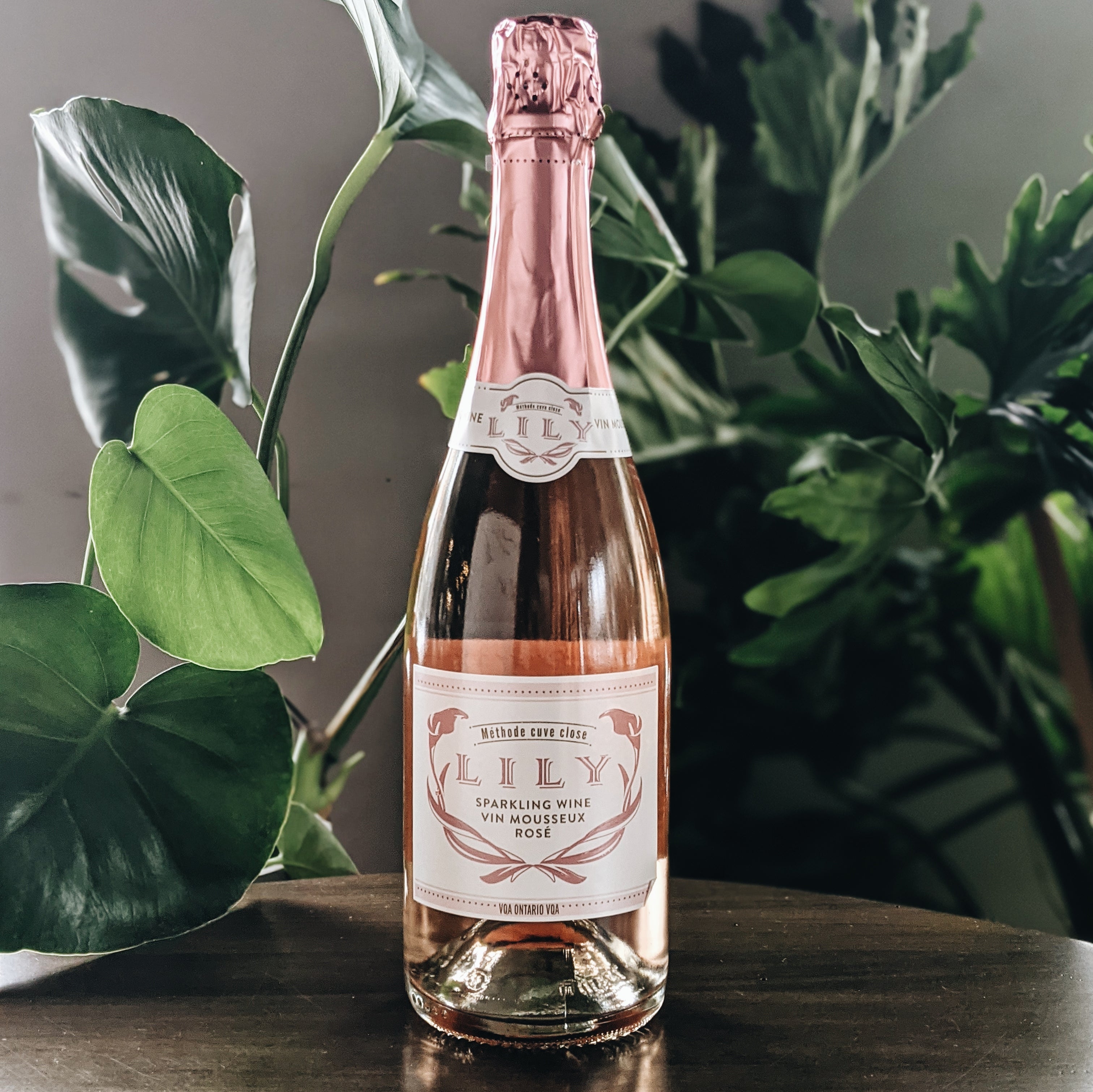 Colio Lily Sparkling Rosé – Maiden Lane Wine & Cocktail Bar
