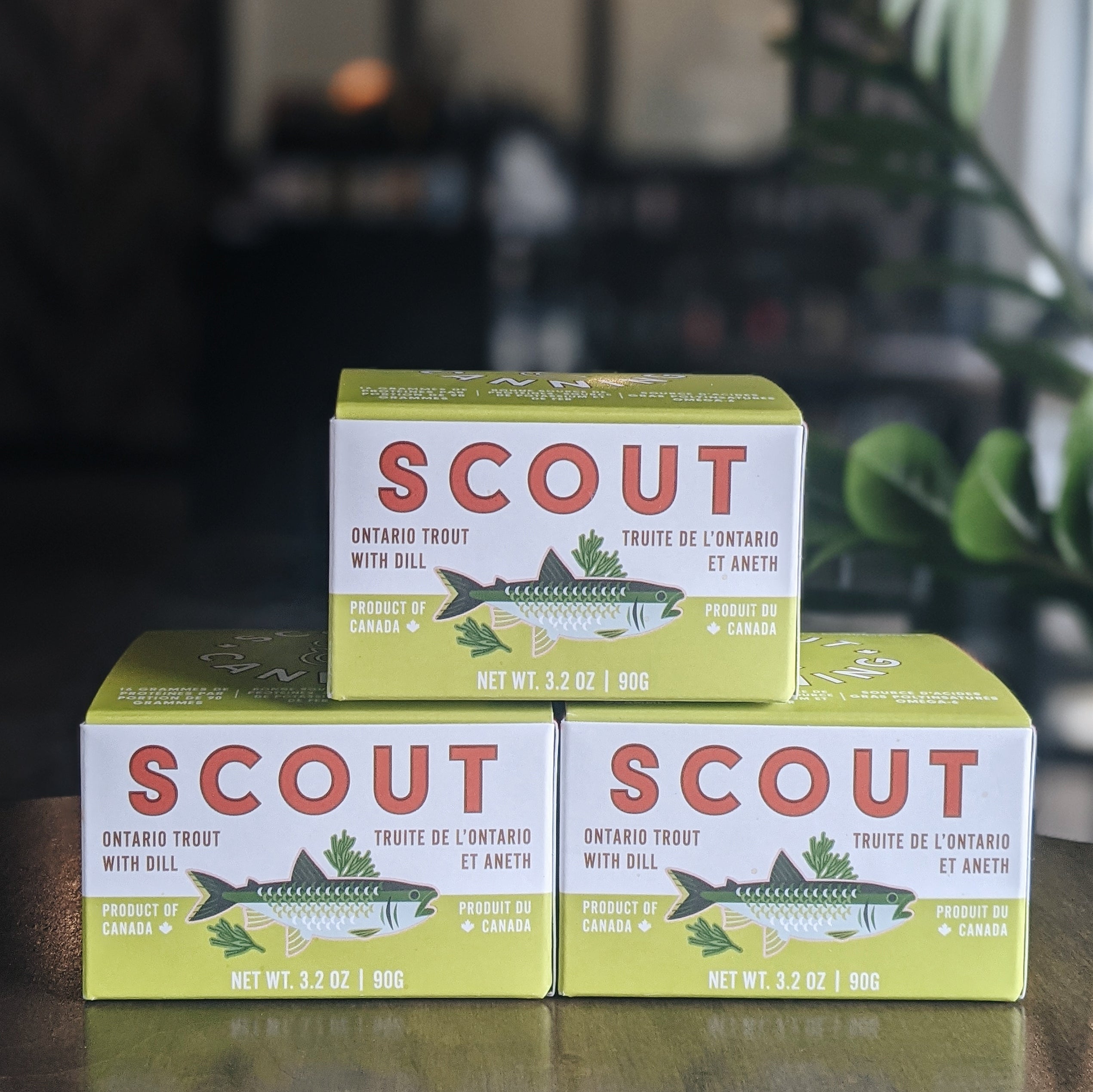 Scout Canning Seafood – Maiden Lane Wine & Cocktail Bar